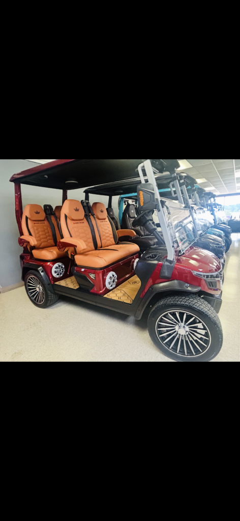 2025 Evolution D6 GT4 - C&T Carts - Licensed Evolution Electric Vehicle ...